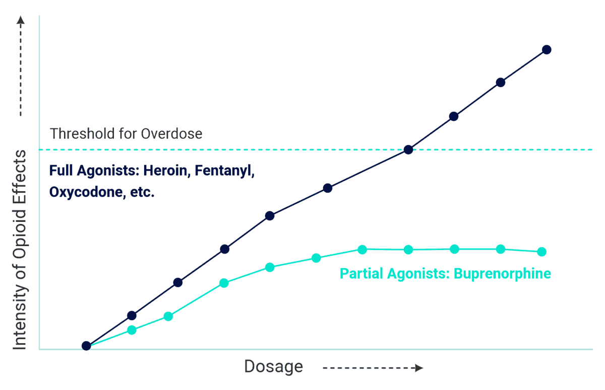 The Truth About Subutex What Is Subutex Symetria Recovery Subutex Vs Suboxone Article